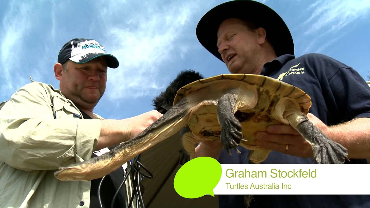 Fish Circus Avenel 2015 - YouTube