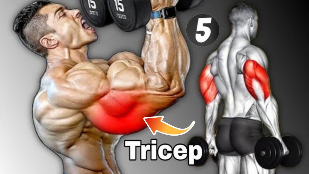 Best Triceps Exercises: Scientifically Explained - YouTube