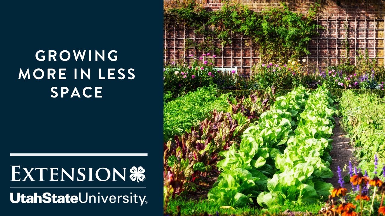 Growing More in Less Space - YouTube
