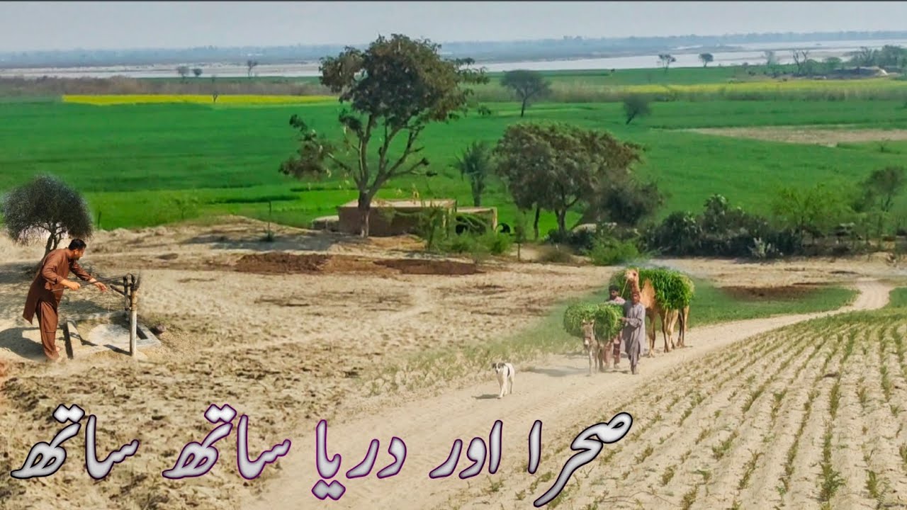 Life in Desert | Pakistani Desert lifestyle |Morning Routine in Desert ...