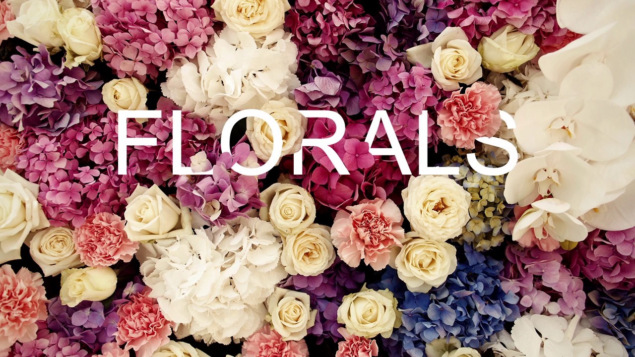 6 REASONS WE LOVE SPRING - YouTube