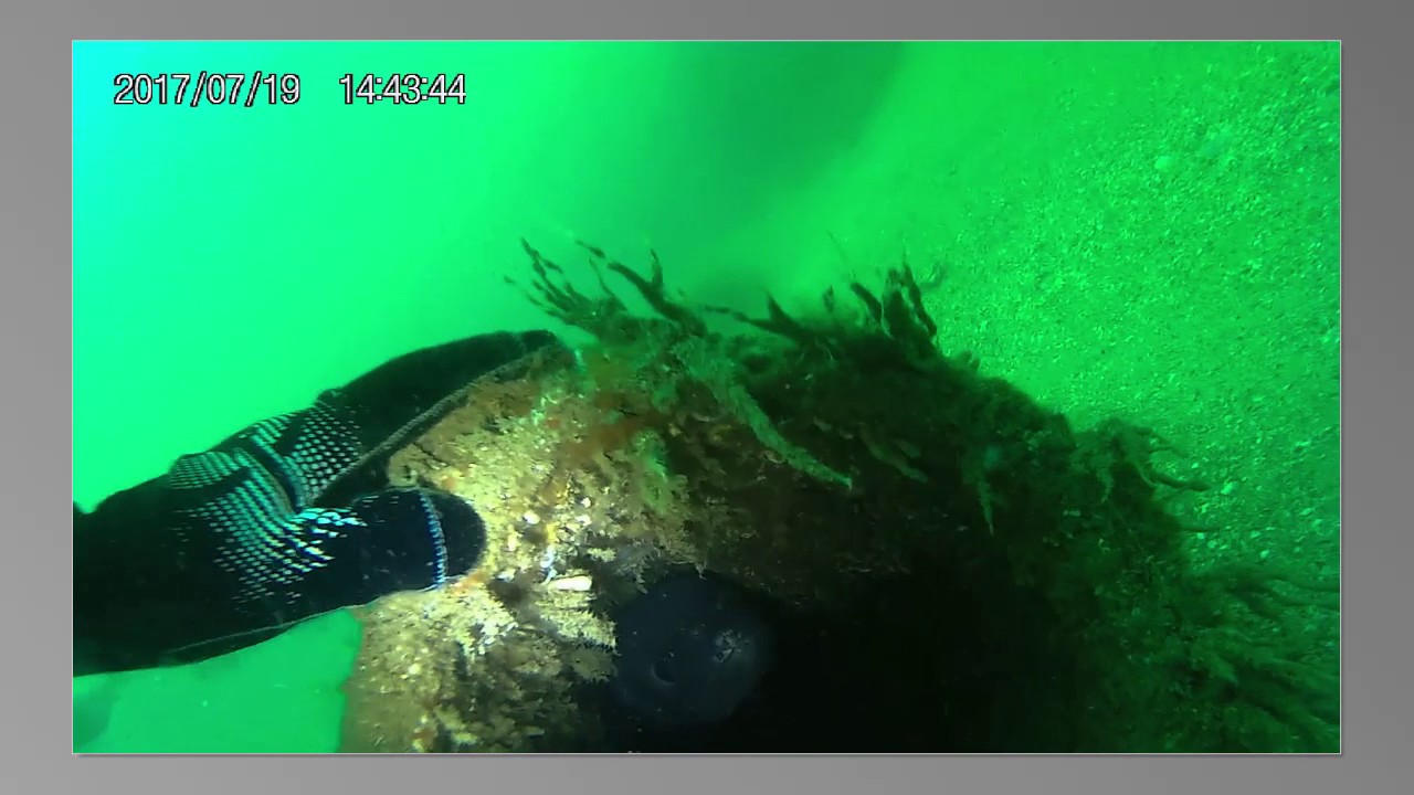 Diving in the English Channel - YouTube