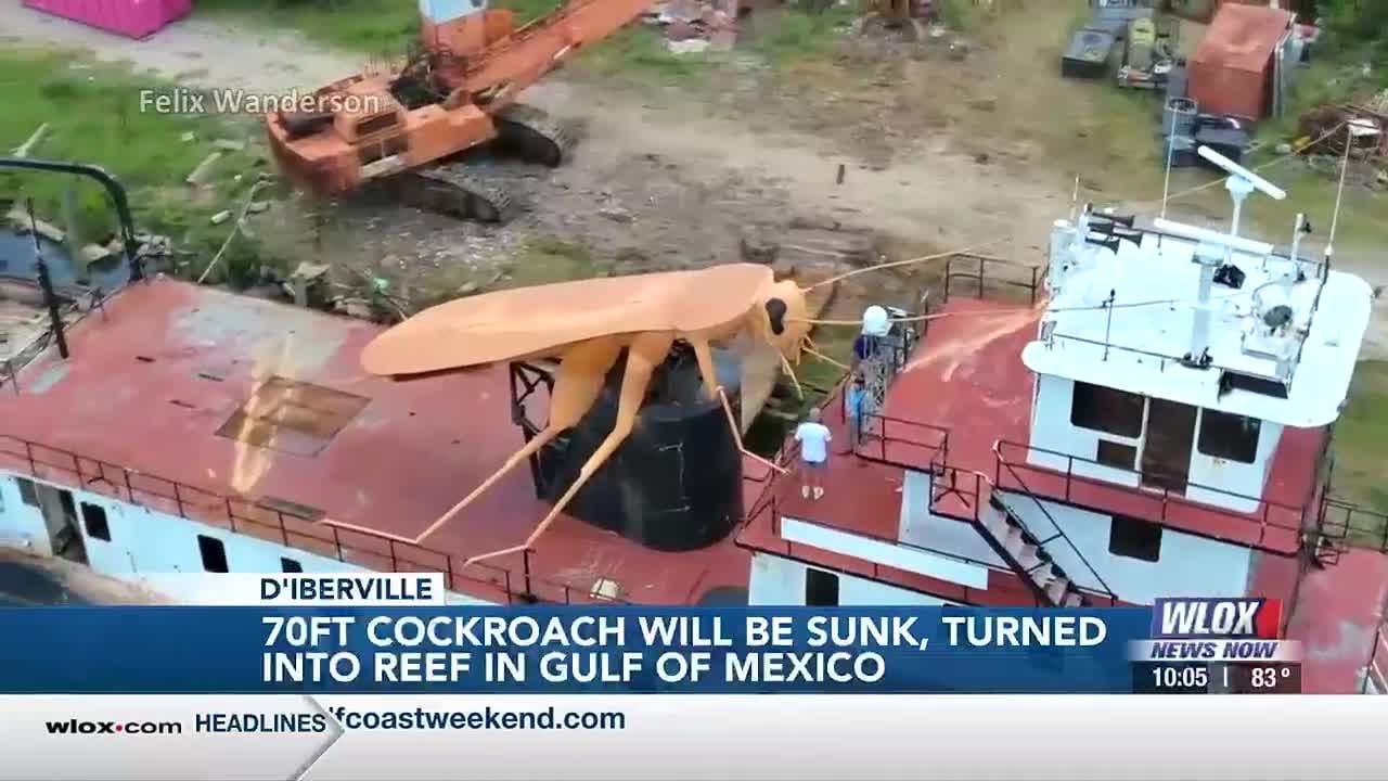 70-foot cockroach to be sunk into Gulf of Mexico to create reef - YouTube