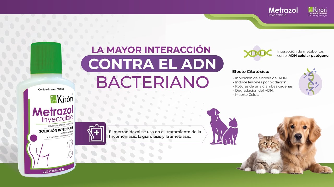 Metrazol Inyectable - YouTube