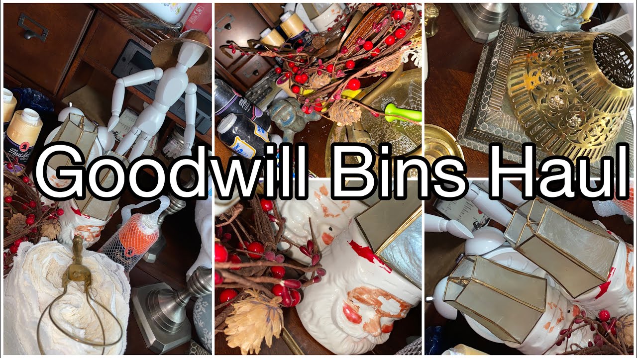 Goodwill Bins Haul - YouTube