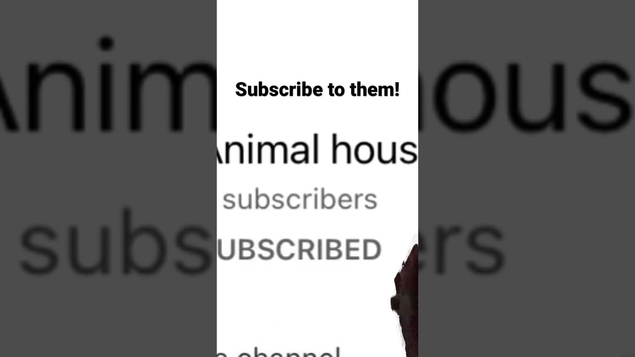 What To Search Up Is Is The Comments YouTube What To Search Up Is Is The Comments YouTube