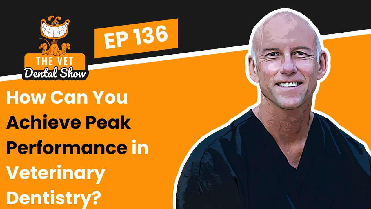 Ep 136- How Can You Achieve Peak Performance in Veterinary Dentistry? - YouTube
