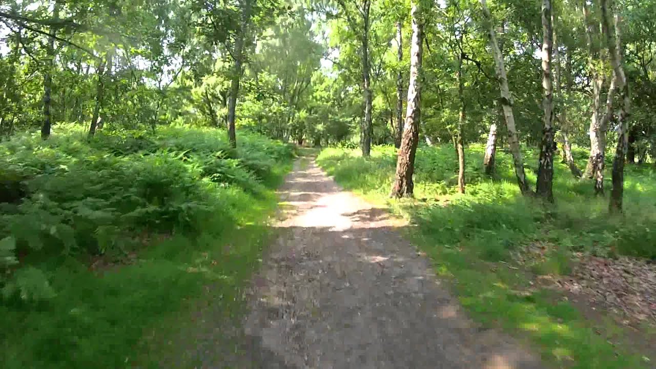 Cannock Chase Brocton Coppice - YouTube