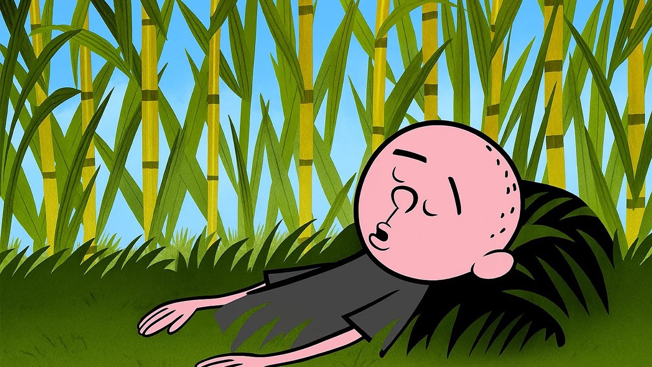 Background Karl Pilkington Level Audio For Sleep Study Chill 2 - YouTube