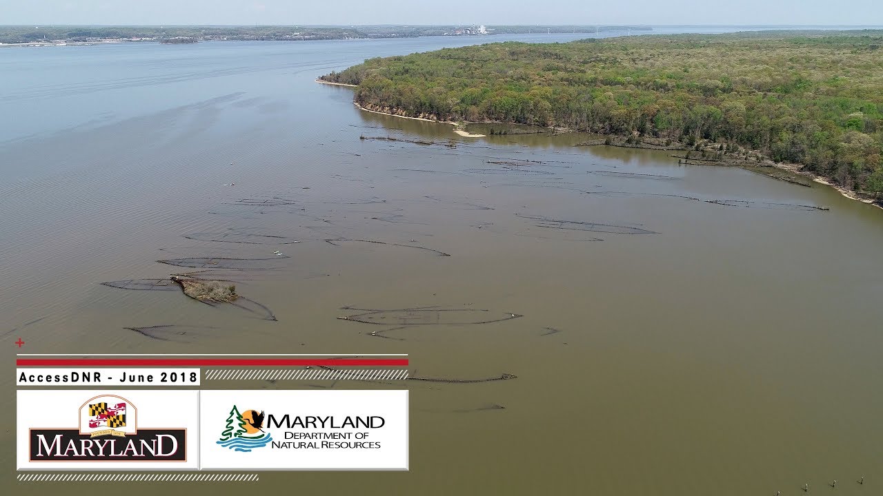 AccessDNR June 2018 - Maryland Department of Natural Resources - YouTube