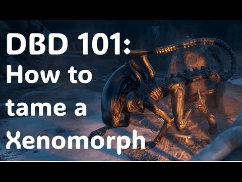 DBD 101: How to tame a Xenomorph - YouTube