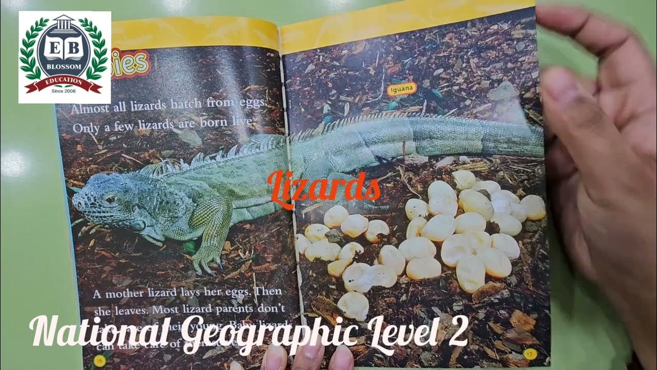 Lizards (national geographic level 2) - YouTube