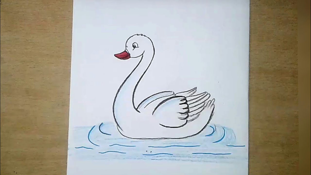 how to draw a duck//batakh ka chitra kaise bnate hain//bird drawing ...