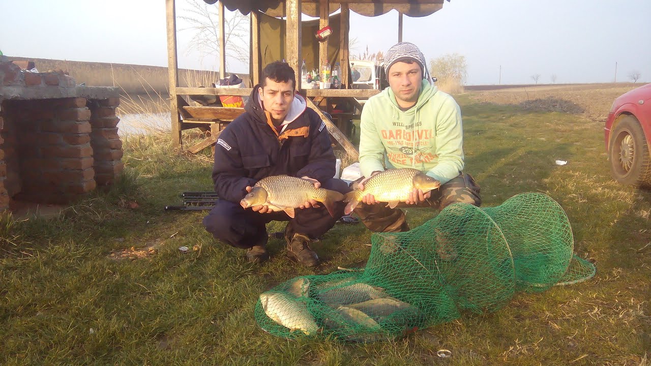 Crap undita(1) pe Ciocarlia 4 - YouTube