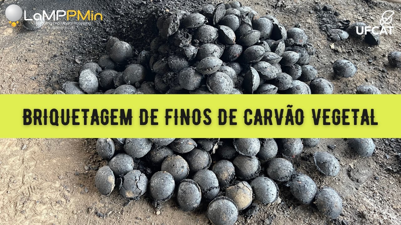 Briquetagem de finos de carvão vegetal e de finos de minério de ferro ...