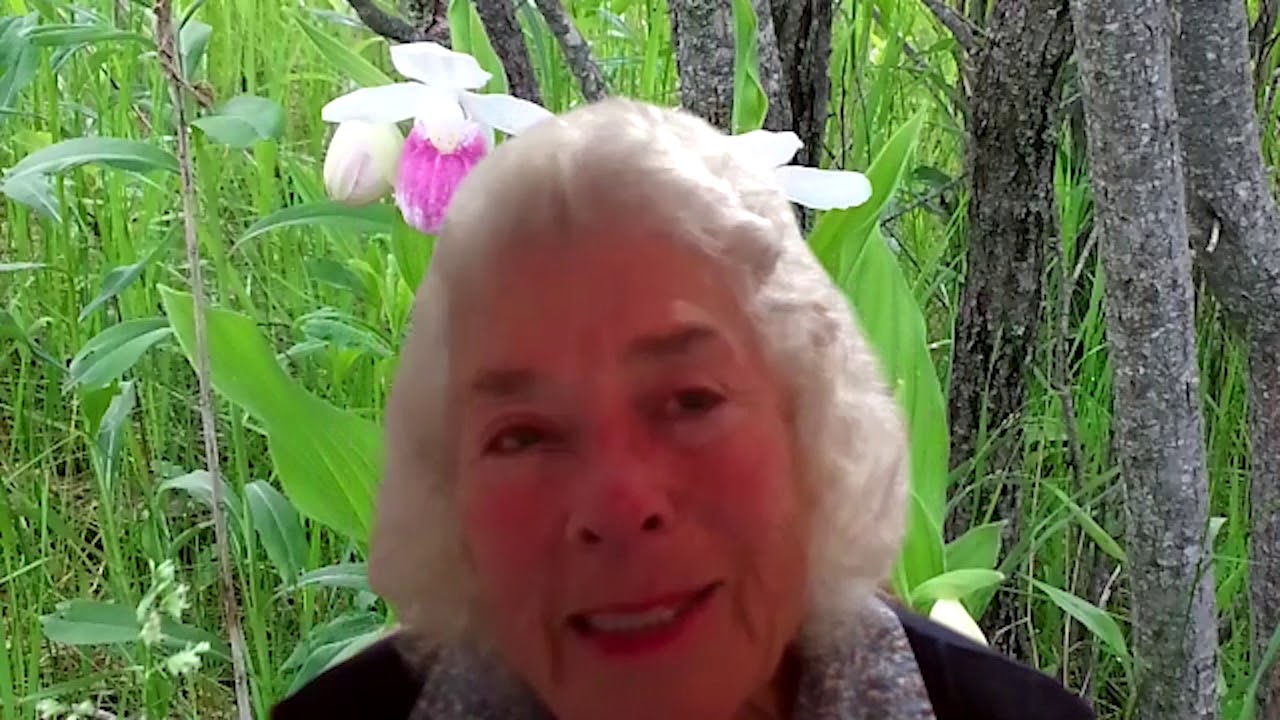 Legislator Advocate Award - Rep. Mary Murphy - YouTube