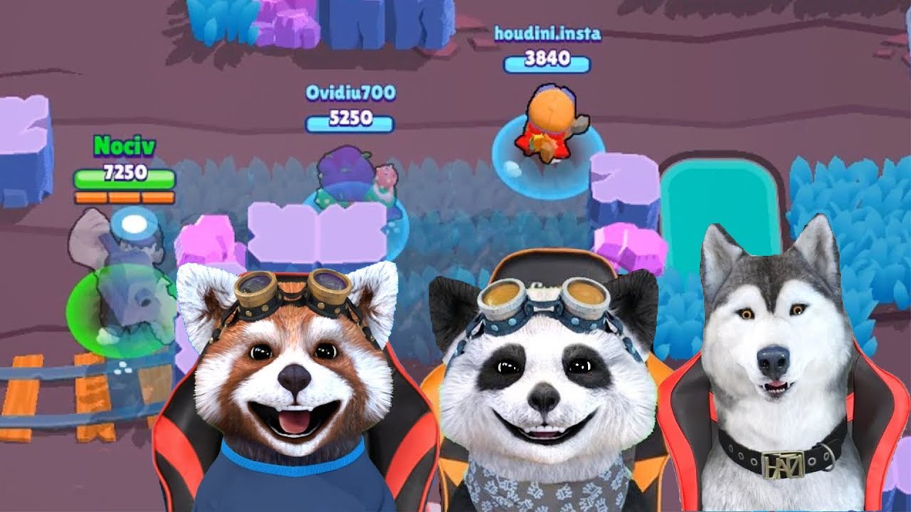 BRAWL STARS CU ECHIPA ANIMALELOR *victorieee* - YouTube