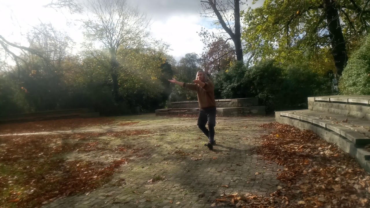 Yang Style Tai Chi Short Form training video - YouTube