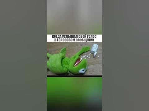 мемы 18 - YouTube