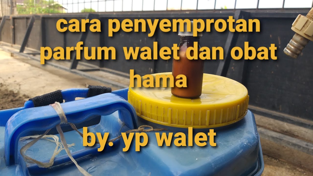 CARA PENYEMPROTAN PARFUM WALET DAN OBAT HAMA - YouTube