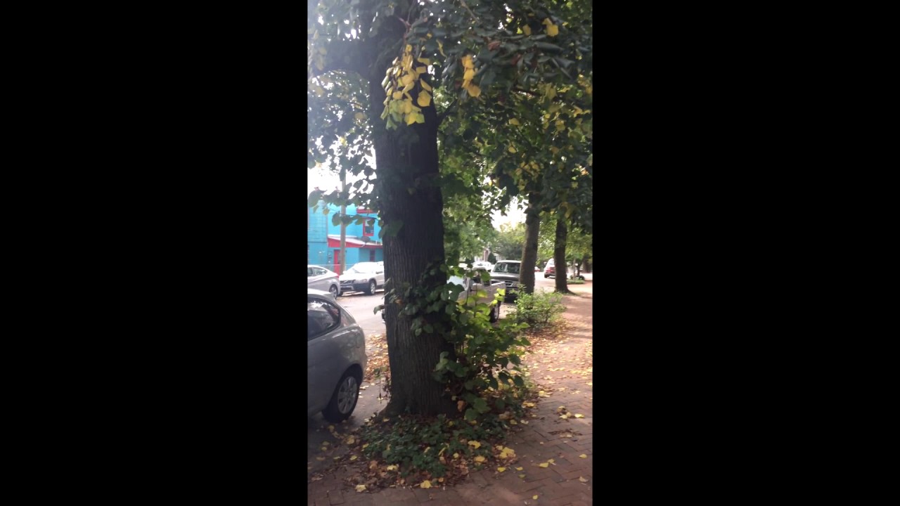 Alan Goad - the pervert Stalker - YouTube