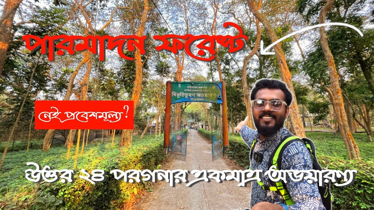 Parmadan Forest: A Hidden Gem Of West পারমাদন ফরেস্ট - YouTube