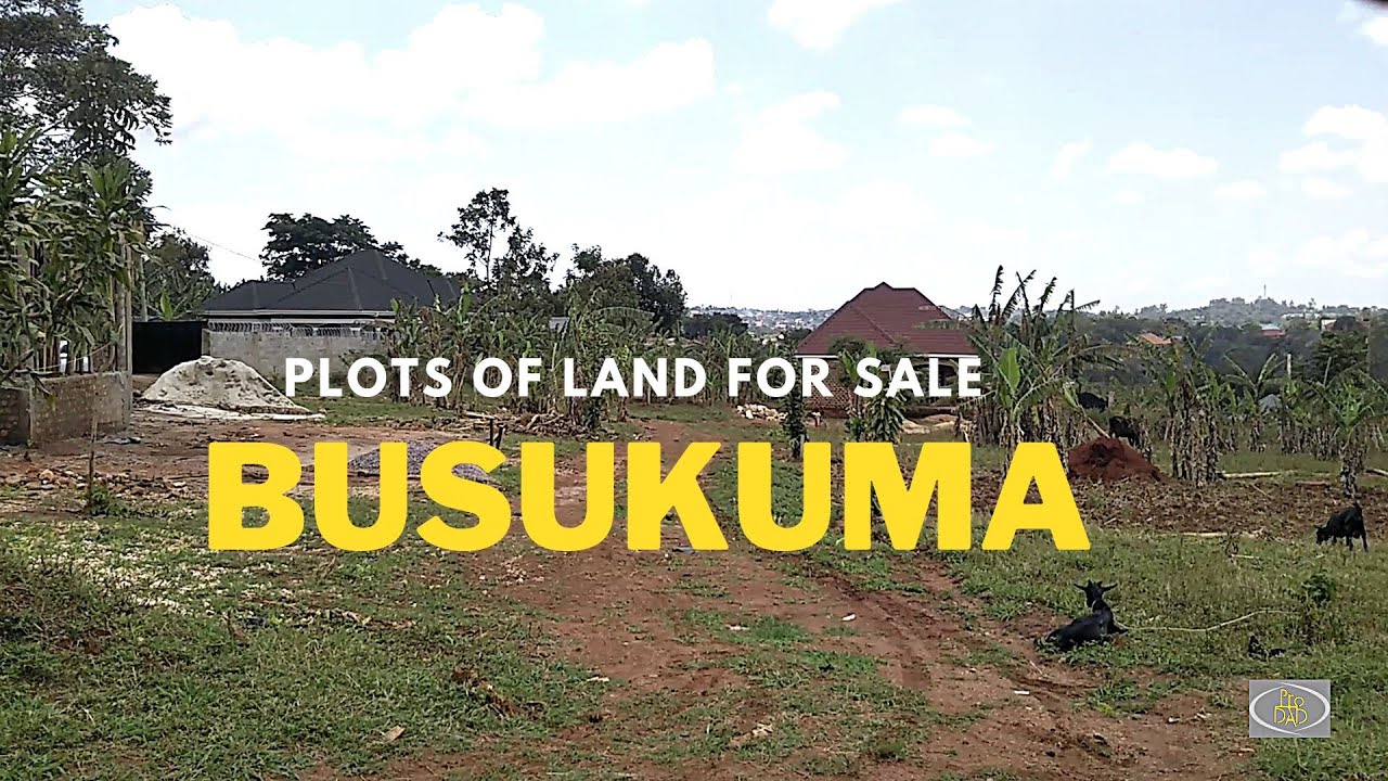 Plot for sale in BUSUKUMA 50metres off the main road, UGX 42M - YouTube