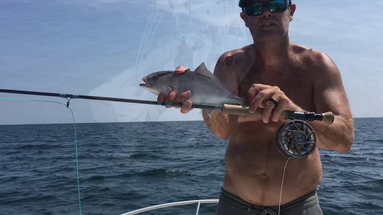 Fly fishing for Amberjacks - YouTube