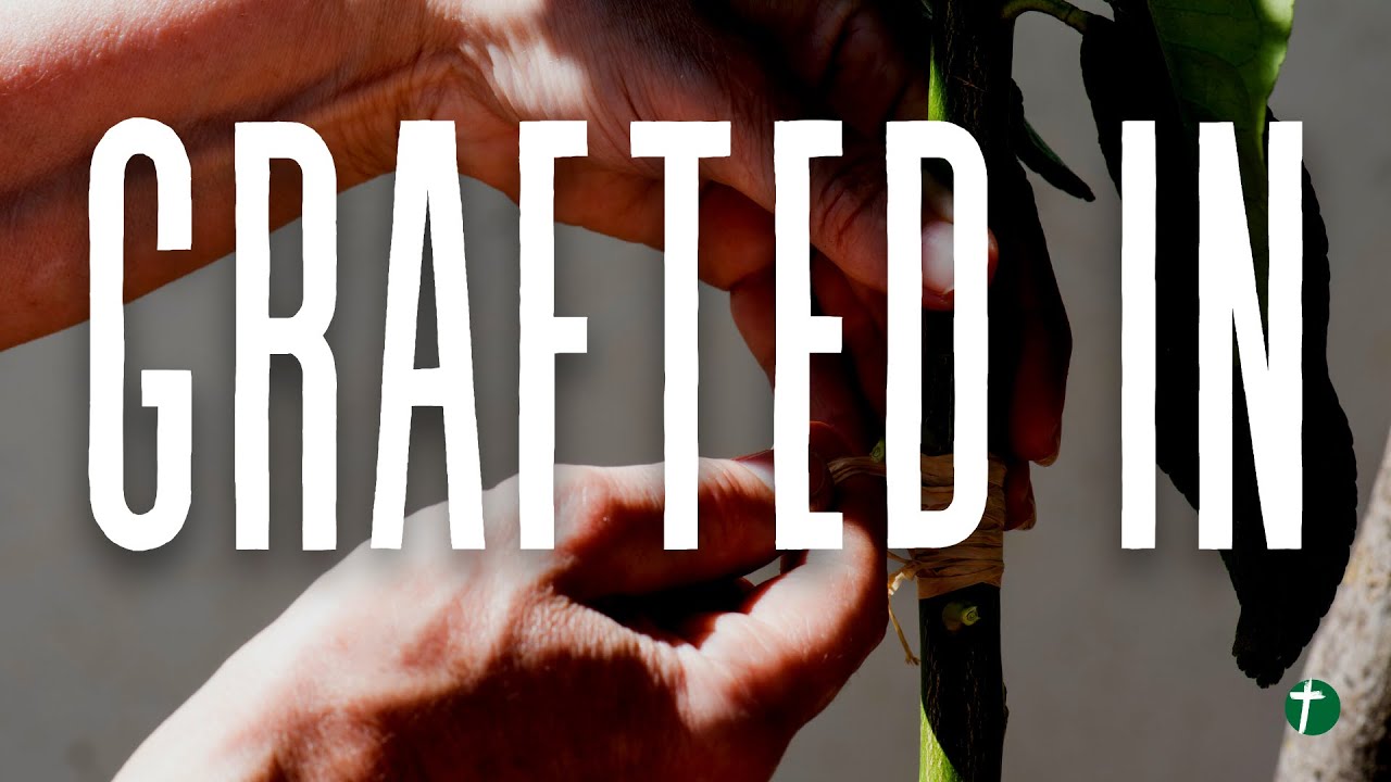 "Grafted In" Bible Study led by Brian Butler - YouTube