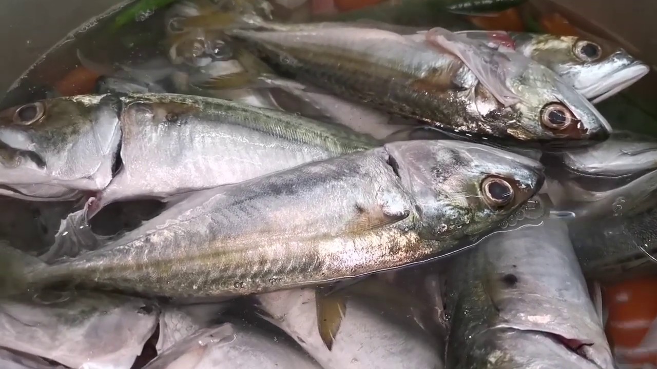 PART 2:COOKING MY VERY SIMPLE FISH TINOLA WITH MALUNGGAY|| OFW LIFE #26 ...