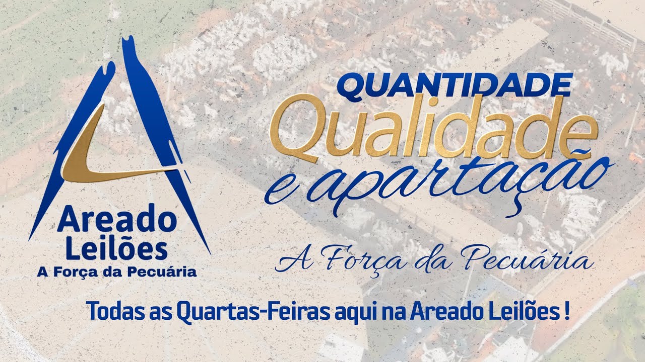 📌Leilão Presencial e Virtual AREADO LEILOES - Areado/MG - 🎥multpix.com ...