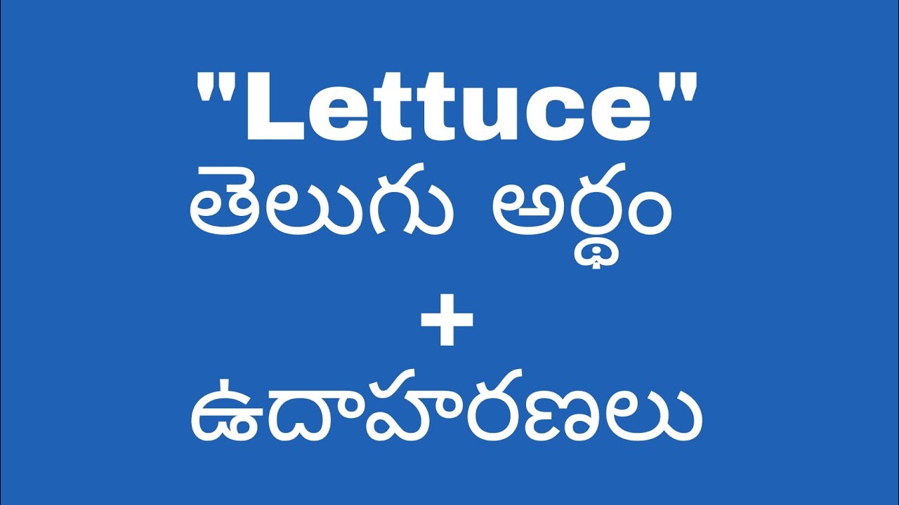 Lettuce Meaning In Telugu With Examples Lettuce lettuce-meaning-in-telugu-with-examples-lettuce
