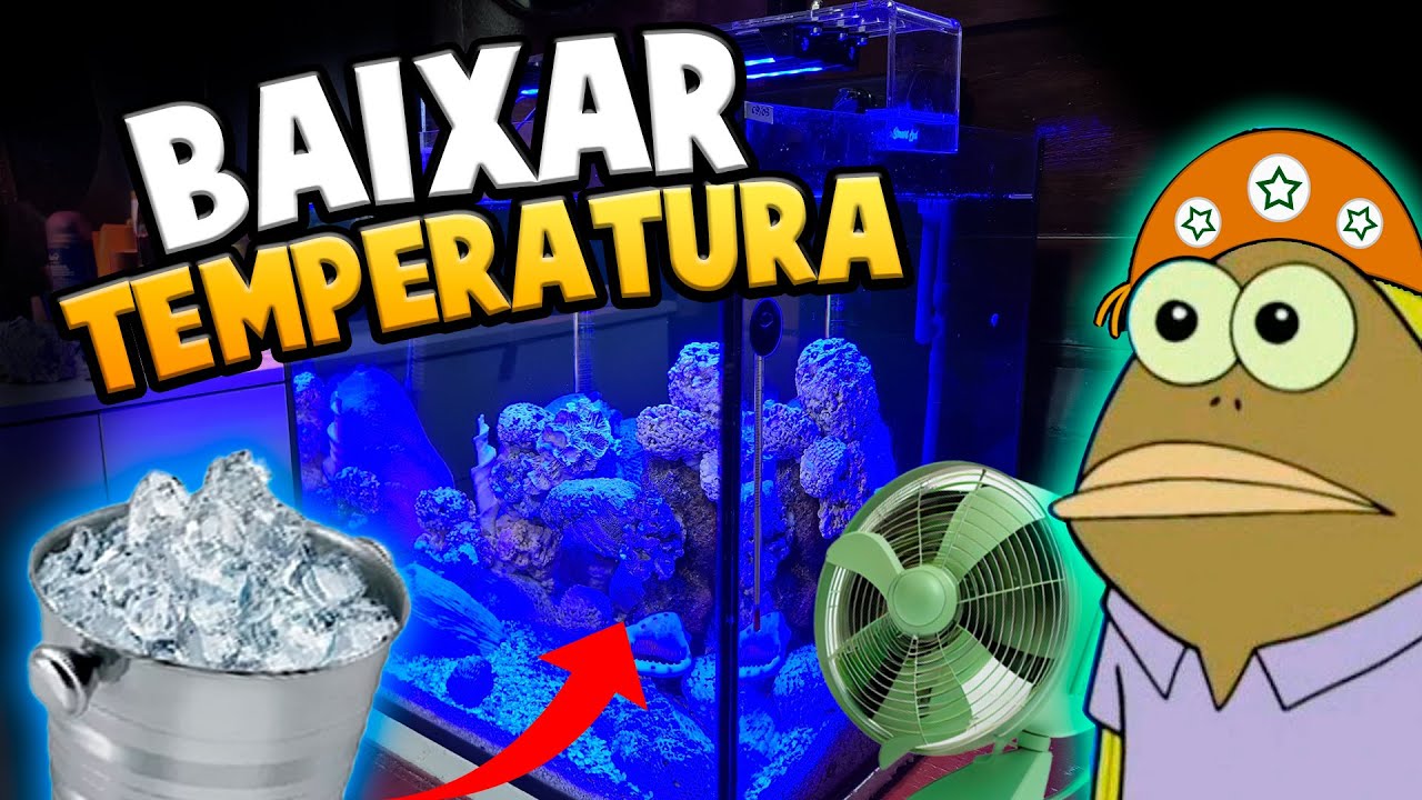 Como Controlo a Temperatura do Aquário Marinho Gastando Pouco - YouTube