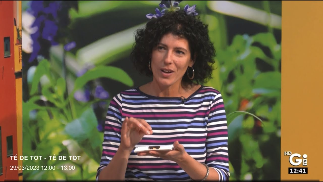 Inici - Judit Caberol Terapeuta Gestalt i corporal