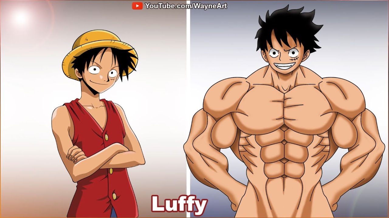 One Piece Character As Bodybuilder - One Piece Characters Fusion ...