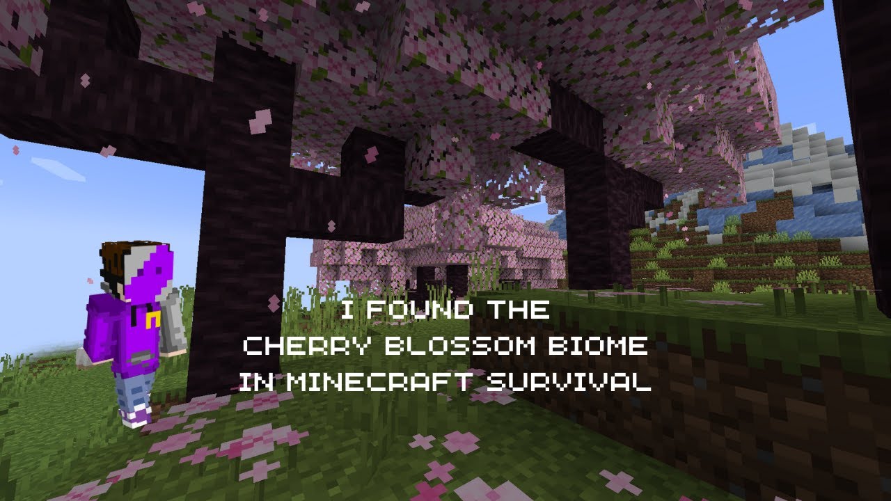 I found the CHERRY BLOSSOM BIOME in Minecraft Survival!! - Minecraft ...