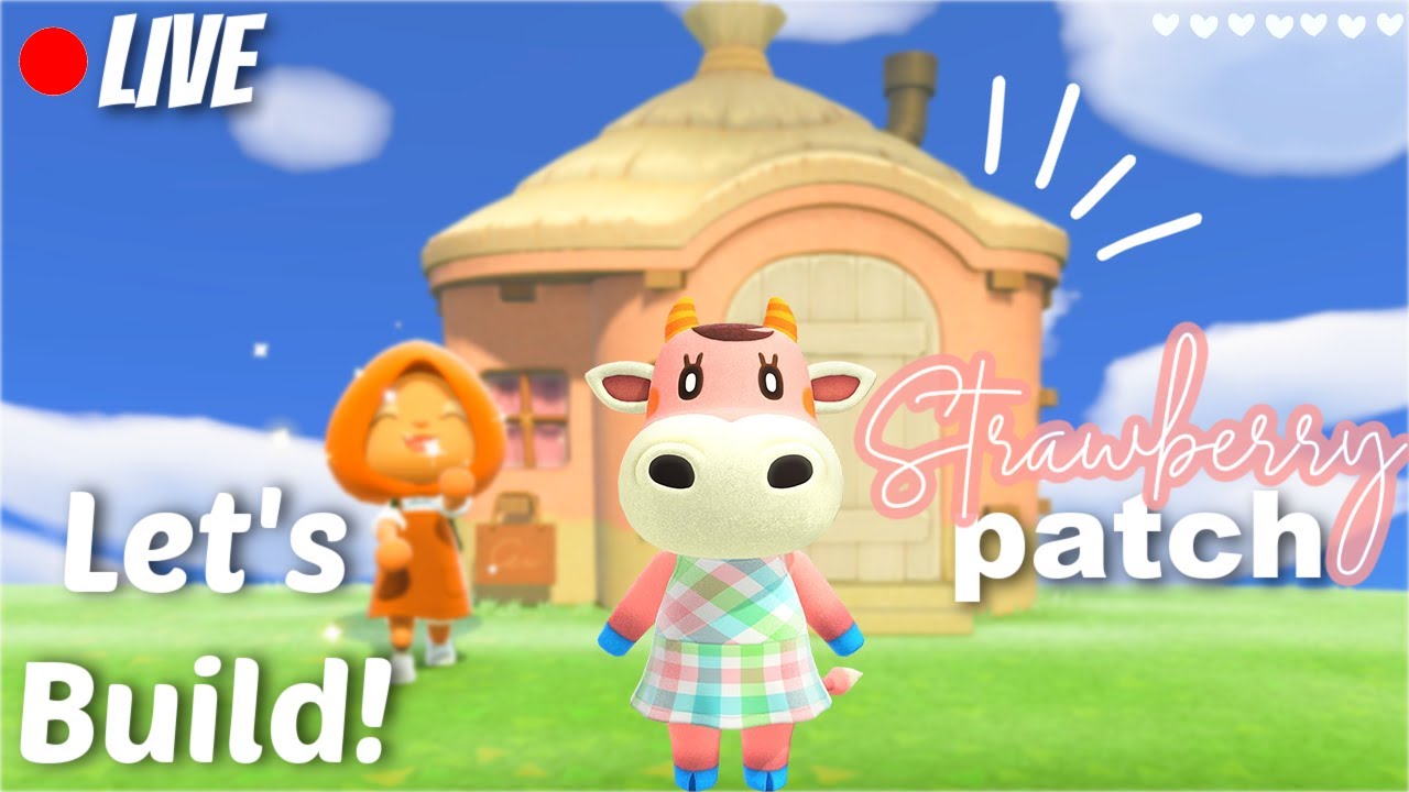 🔴LIVE!! Strawberry patch for Norma ♡ Animal Crossing Stream - YouTube