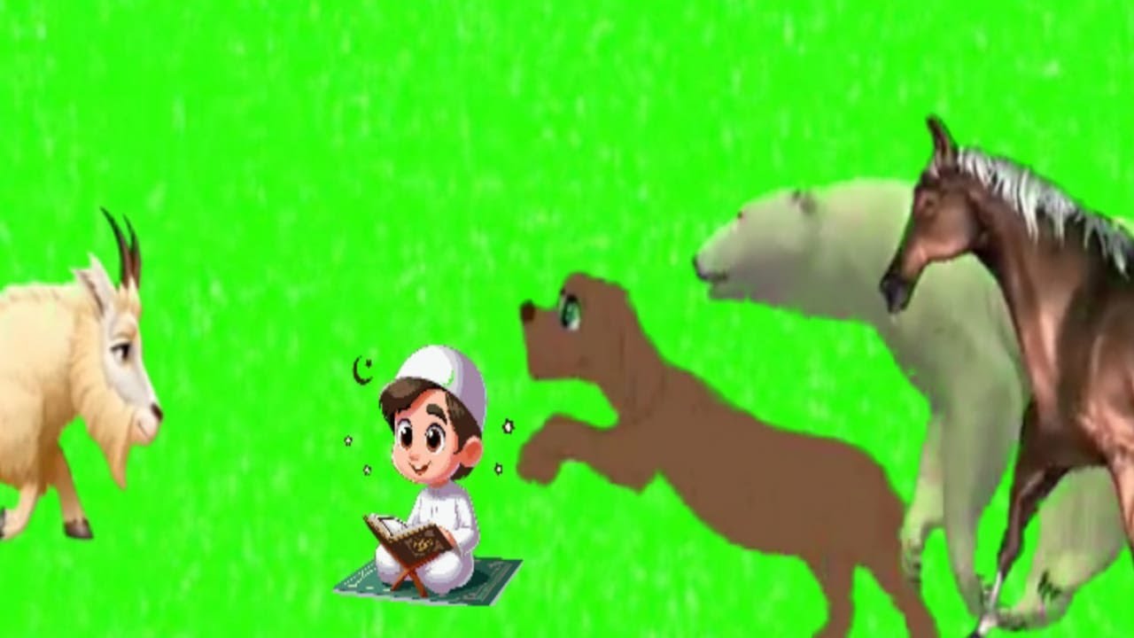 Creative Commons Funny Animal Videos – Zoo Edition 2024 - YouTube