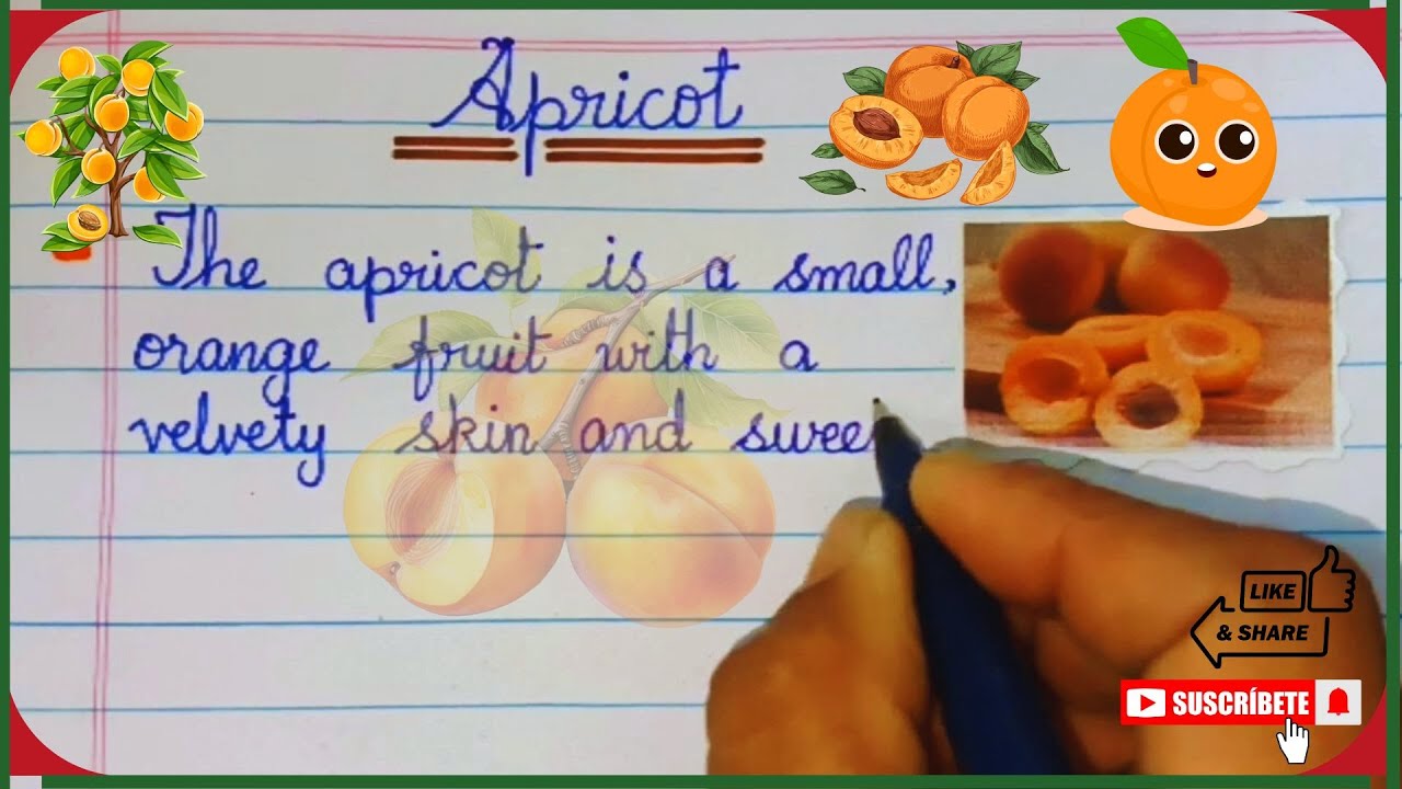 10 Lines Essay on Apricot | Apricot Fruit Essay in English | Writing ...