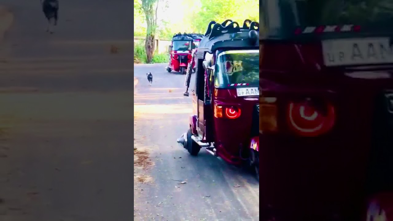 Tuk Tuk Modified Sri 🇱🇰 lankan Three Wheel Modified Matara Tuk Tuk ...