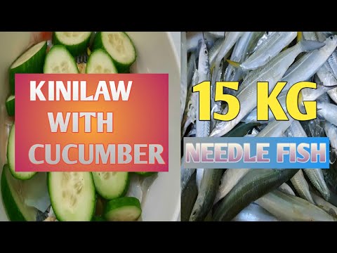 15 kg half beak fish/siliw vlog 8 - YouTube