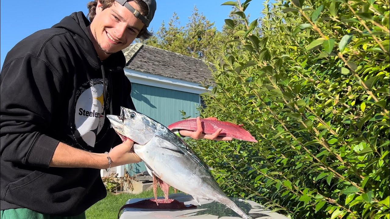 FALSE ALBACORE/BONITA CATCH N' COOK - Ep 28 - YouTube