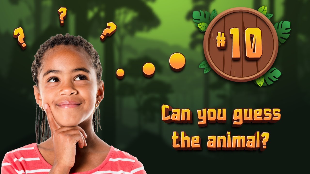 Can you guess the animal? | Thinking of an Animal #10 - YouTube
