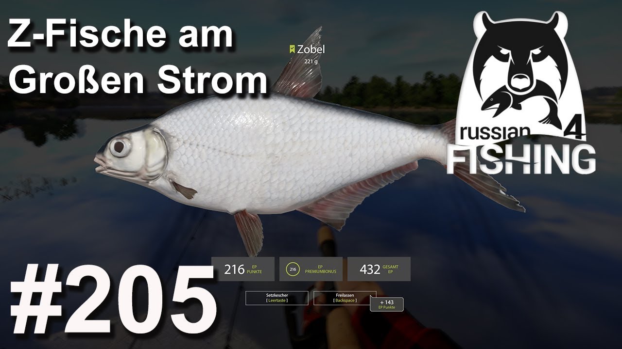 Z Fische am Großen Strom 🎣 🐋 | Russian Fishing 4 #205 | Deutsch | UwF ...