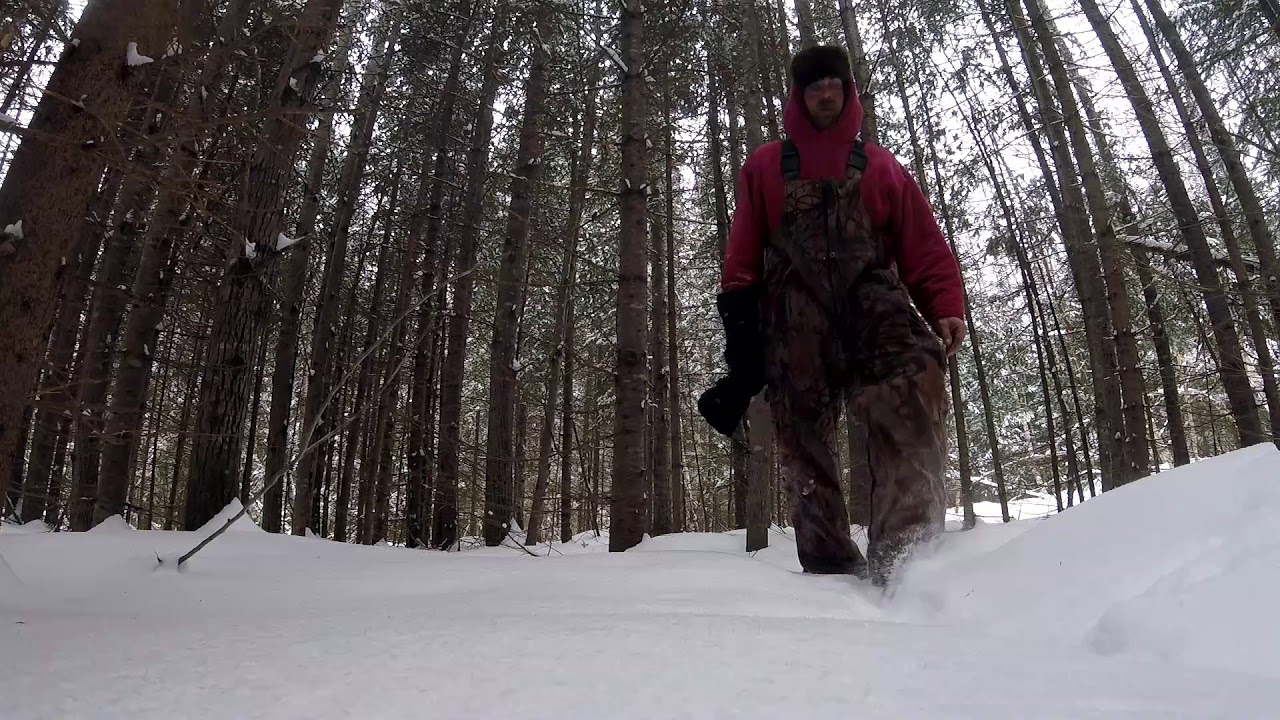 Trapping Fisher and Moving Sets Ep 16 - YouTube