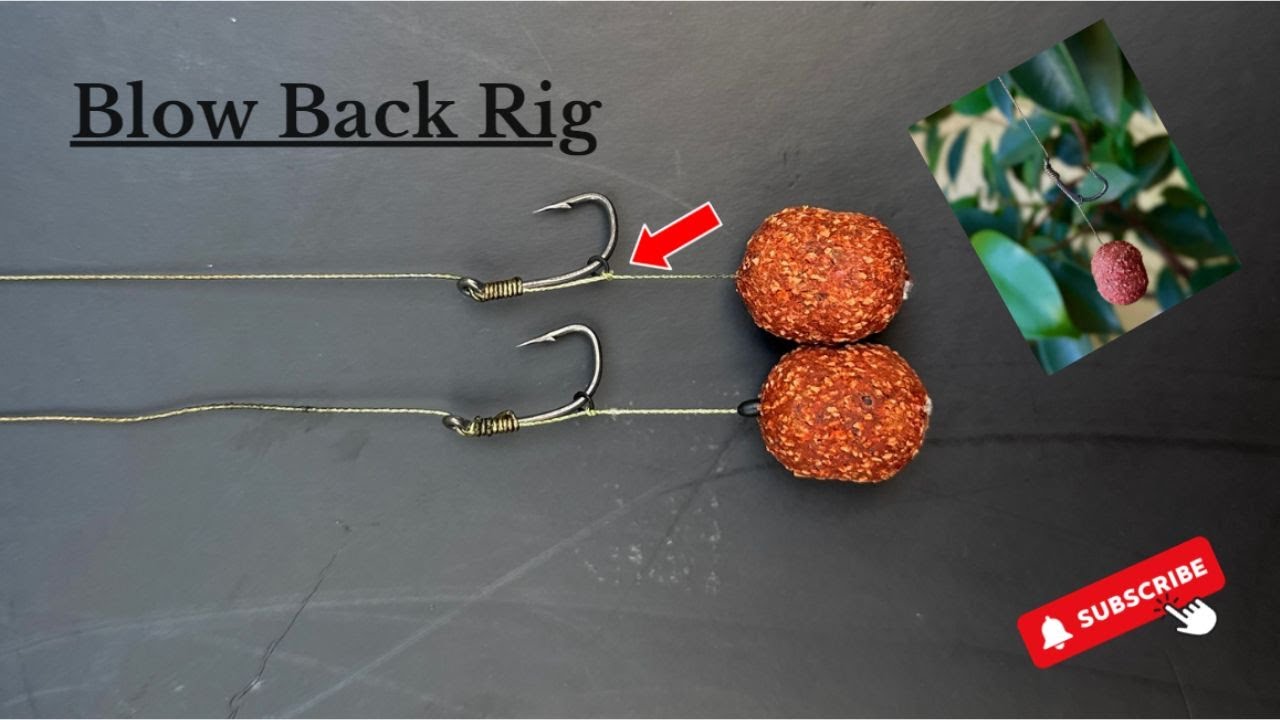 Blow Back Rig for Carp Fishing by Foris Fisherman Carp Hunter - YouTube