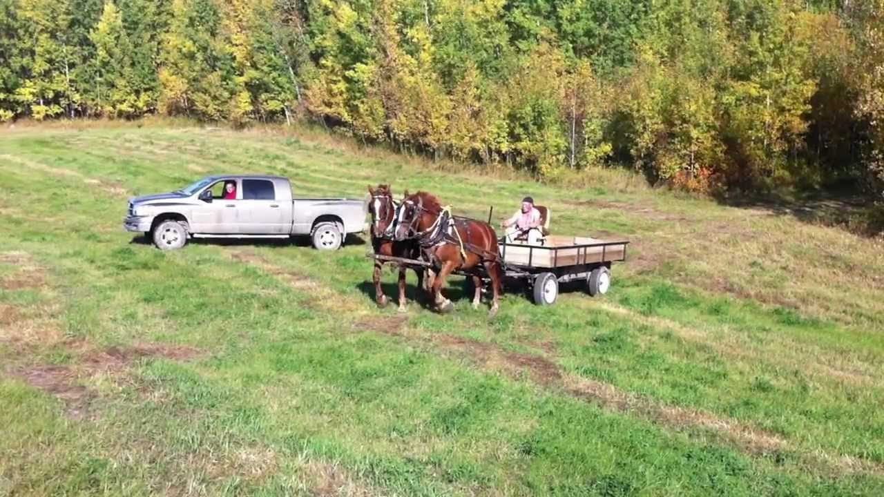 Carson & Riley - YouTube