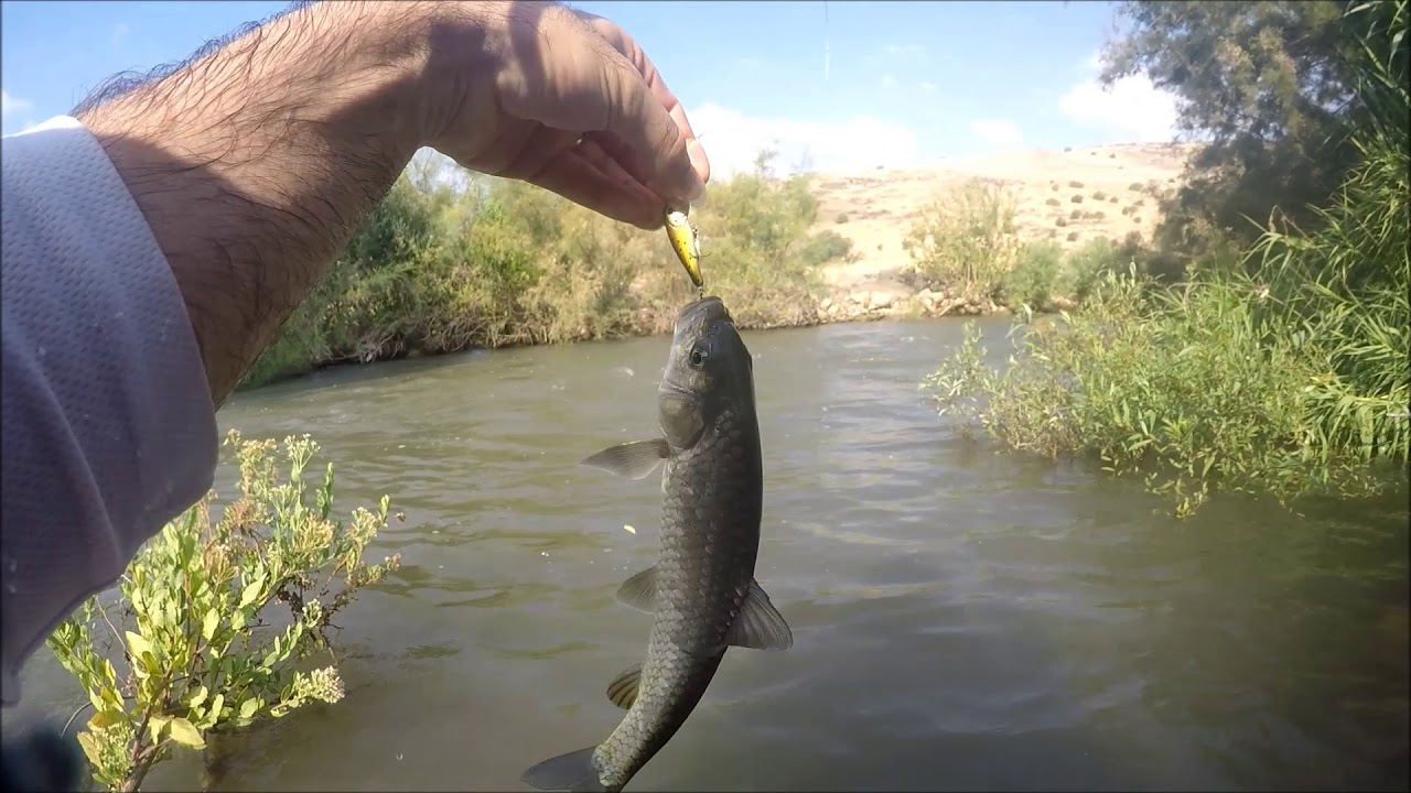 יום של כיף בירדן ההררי 2 09/08/2019 Fun fishing day in the Wild Jordan ...