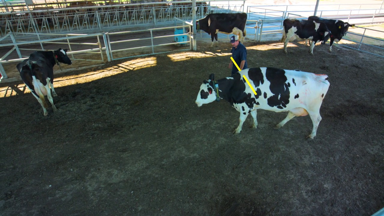 Understanding The Point of Balance | Que es el punto de balance? - YouTube