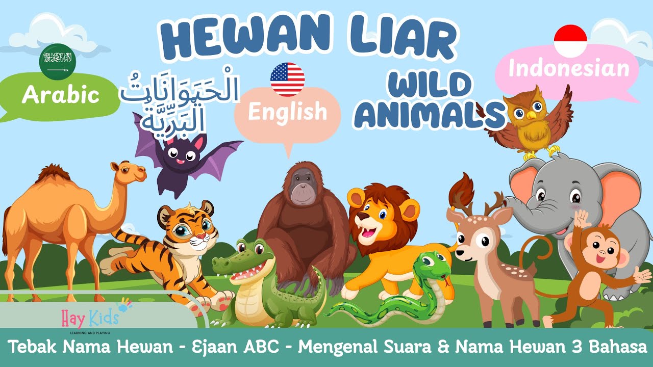 Mengenal Hewan 3 Bahasa : Inggris Arab Indonesia | Nama, Suara & Ejaan ...